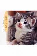 まだ恋じゃない 猫と俳句の写真集 板東寛司 HMV BOOKS online 9784862016157