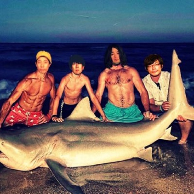 HINTO｜ライブ・コンサートのチケット ローチケ[ローソンチケット]