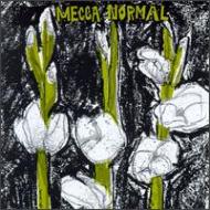 Flood Plain : Mecca Normal | HMV&BOOKS online - KCD22