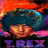 Wizard A True Star : Marc Bolan / T Rex | HMV&BOOKS online - FBOOK17