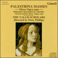 Masses / Motet: Tallis Scholars : Palestrina / Victoria | HMV&BOOKS ...