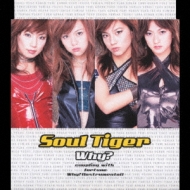 Why? : Soul Tiger | HMV&BOOKS online - YRCN-33003