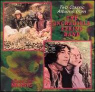 Wee Tam & The Big Huge : Incredible String Band | HMV&BOOKS online - 290
