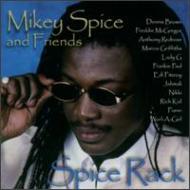 Spice Rack : Mikey Spice | HMV&BOOKS online - 1015