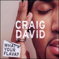 【中古:盤質B】 What's Your Flava : Craig David | HMV&BOOKS online - 80044