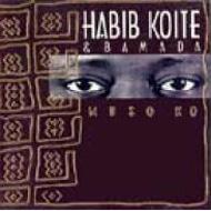 Muso Ko : Habib Koite | HMV&BOOKS online - AFPCD5240
