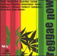 Reggae Now Vol.3 | HMV&BOOKS online - BOG510
