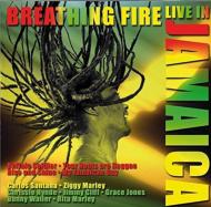 Breathing Fire | HMV&BOOKS online - N11006