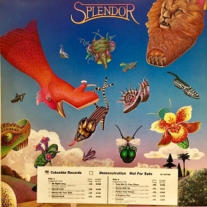 【中古:盤質B】 Splendor : Splendor | HMV&BOOKS online - JC35798