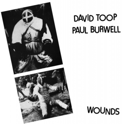 Wounds : David Toop / Paul Burwell | HMV&BOOKS online - CY980