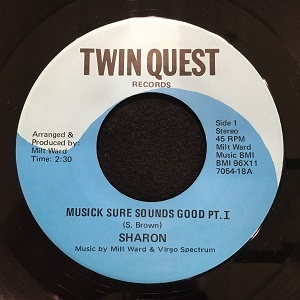 【中古:盤質AB】 Musick Sure Sounds Good : Sharon | HMV&BOOKS online - 96X11
