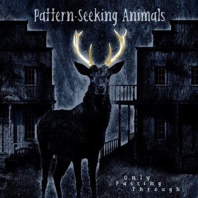 Only Passing Through (180g) : Pattern Seeking Animals | HMV&BOOKS ...
