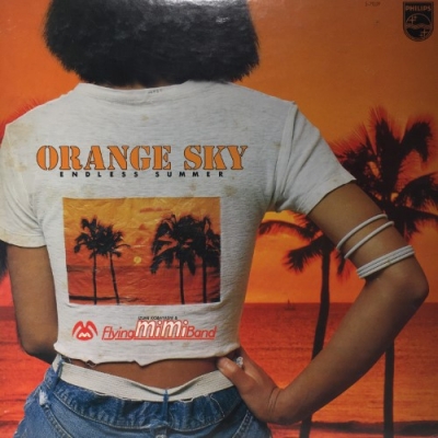 【中古:盤質AB】 Orange Sky -Endless Summer : 小林泉美&Flying Mimi Band | HMV ...