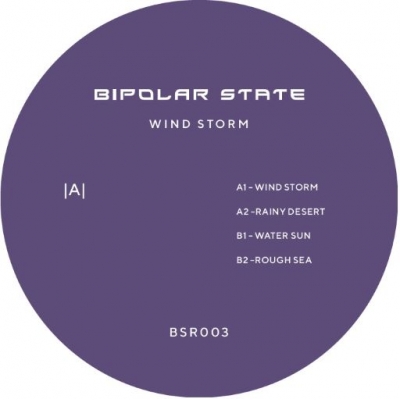 Wind Storm Ep : Bipolar State | HMV&BOOKS online - BSR003