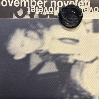 【中古:盤質B】 More Satanic Heroes : November Novelet | HMV&BOOKS online ...