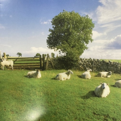 【中古:盤質B】 Chill Out : The KLF | HMV&BOOKS online - JAMSLP5