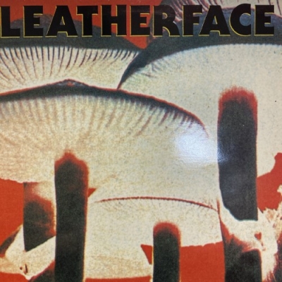 【中古:盤質B】 Mush : Leatherface | HMV&BOOKS online - NECKLP5