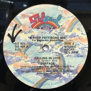 【中古:盤質B】 Falling In Love : Surface | HMV&BOOKS online - SG401