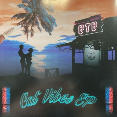 【中古:盤質B】 バイブレイション : BTB | HMV&BOOKS online - PPPEP009