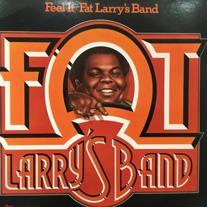 【中古:盤質B】 Feel It : Fat Larrys Band | HMV&BOOKS online - WM625