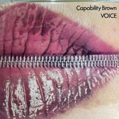 【中古:盤質B】 Voice : Capability Brown | HMV&BOOKS online - CAS1068