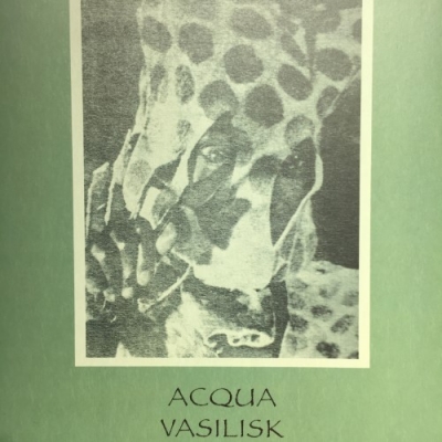 【中古:盤質B】 Acqua : Vasilisk | HMV&BOOKS online - SK79LP