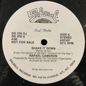 【中古:盤質B】 Shake It Down : Raphael Cameron | HMV&BOOKS online - SG378DJ