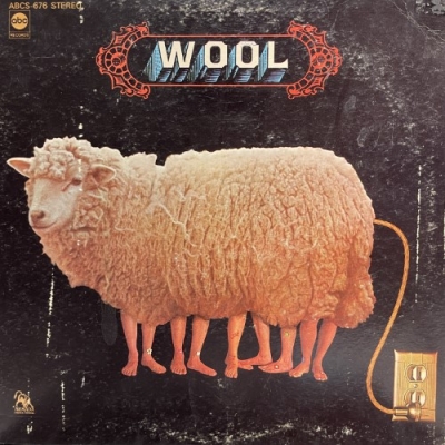 【中古:盤質B】 Wool : Wool | HMV&BOOKS online - ABCS676