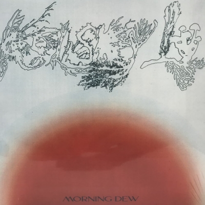 【中古:盤質S】 Morning Dew : Kelsey Lu | HMV&BOOKS online - NONE