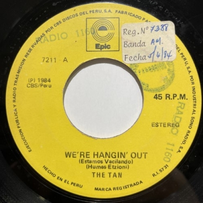 【中古:盤質B】 We're Hanging' Out / Bad Party : Tan (Turkey) | HMV&BOOKS ...