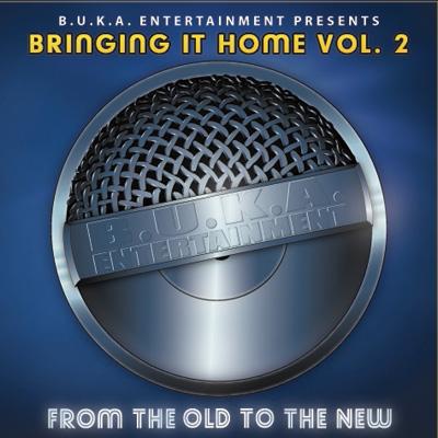 Bringing It Home: Vol.2 | HMV&BOOKS online - CCRM-6004