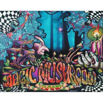 Rehash : Magic Mushroom Band | HMV&BOOKS online - VP284CD