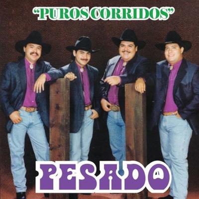 Puros Corridos : Pesado | HMV&BOOKS online - 517557