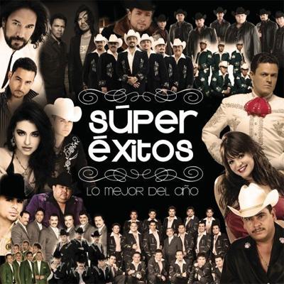 Super Exitos: Lo Mejor Del Ano | HMV&BOOKS online - 354395