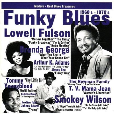 Funky Blues 1960`s-1970`s | HMV&BOOKS online : Online Shopping ...