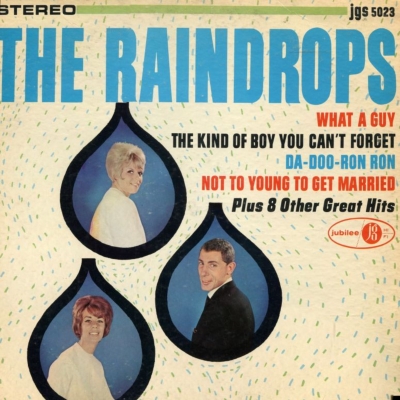 Raindrops : The Raindrops | HMV&BOOKS online - WPCR-27869