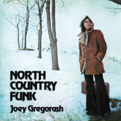 North Country Funk : Joey Gregorash | HMV&BOOKS online - VSCD5186