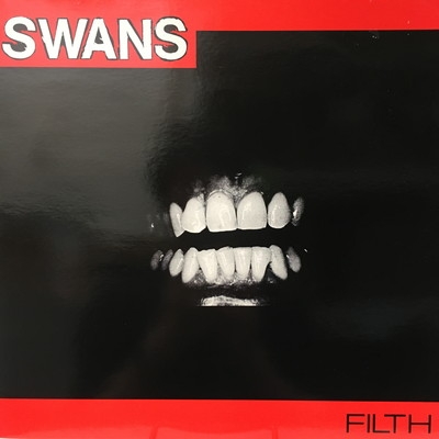 【中古:盤質B】 Filth : Swans | HMV&BOOKS online - ND03