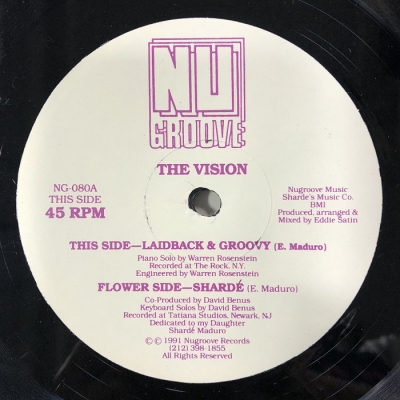 Laidback & Groovy : Vision | HMV&BOOKS online - NG080