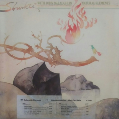 【中古:盤質AB】 Natural Elements : John McLaughlin / Shakti | HMV&BOOKS ...