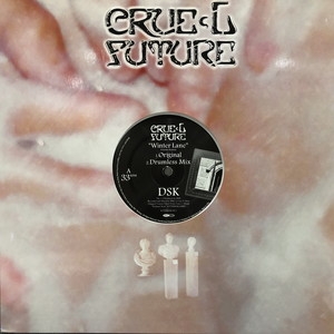 Winter Lane : Dsk | HMV&BOOKS online - KYTHMAK1041