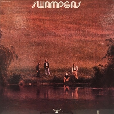 【中古:盤質B】 Swampgas : Swampgas | HMV&BOOKS online - BDS5102