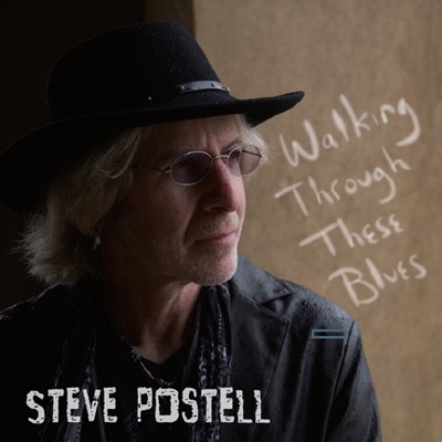 Walking Through These Blues : Steve Postell | HMV&BOOKS online - VSCD-3964