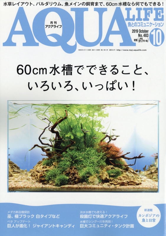 月刊 Aqua Life (アクアライフ)2019年 10月号 : 月刊aqua Life編集部 | HMV&BOOKS online ...