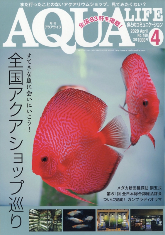 月刊 AQUA LIFE (アクアライフ)2020年 4月号 : 月刊AQUA LIFE編集部 | HMV&BOOKS online ...