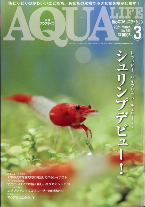 月刊 AQUA LIFE (アクアライフ)2021年 3月号 : 月刊AQUA LIFE編集部 | HMV&BOOKS online ...