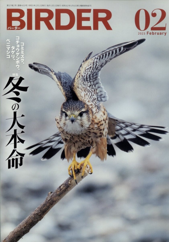 Birder (バーダー)2023年 2月号 : Birder編集部 | HMV&BOOKS online : Online Shopping ...