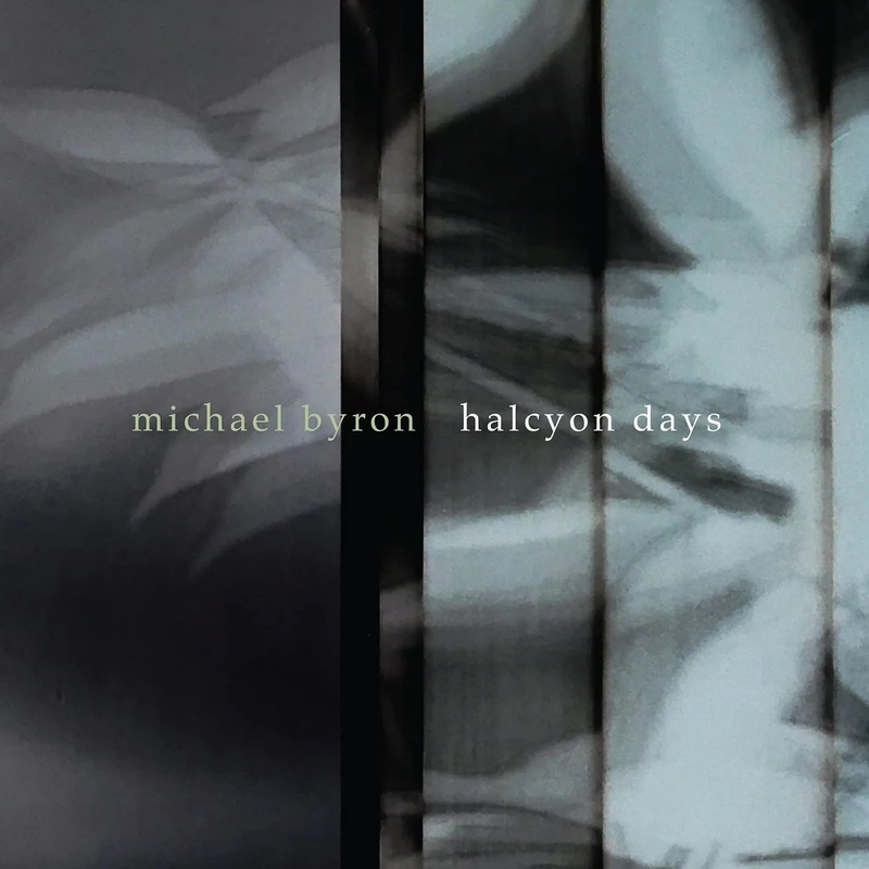 Halcyon Days: William Winant Michael Jones Gennaro Silar(Perc)Lisa ...