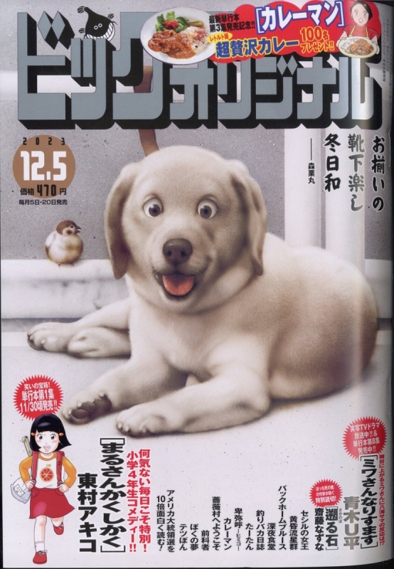 ビッグコミックオリジナル 2023年 12月 5日号 ビッグコミックオリジナル編集部 Hmvandbooks Online 274711223
