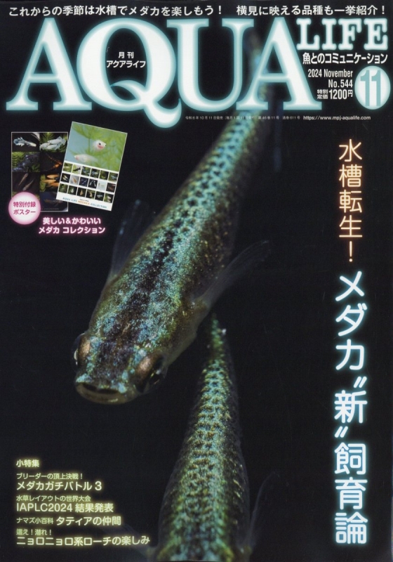 月刊 Aqua Life (アクアライフ)2024年 11月号 : 月刊aqua Life編集部 | HMV&BOOKS online ...